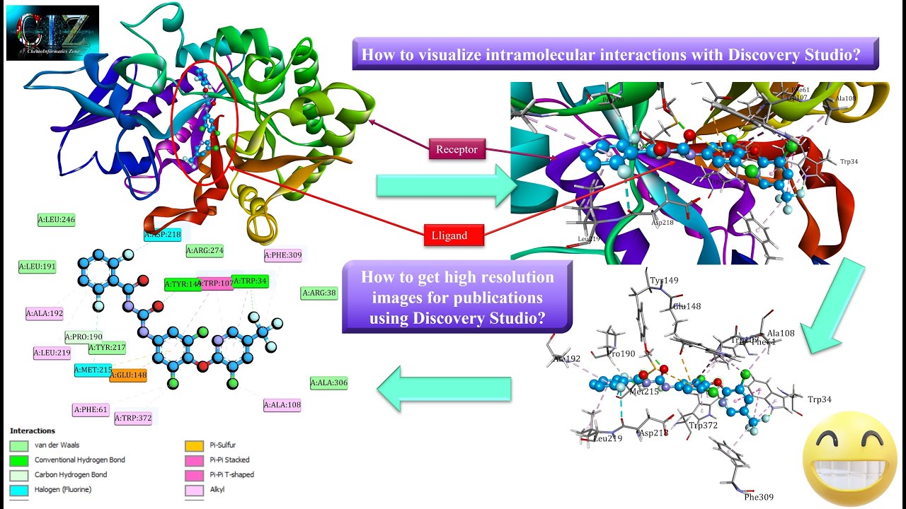 How to obtained publication quality images from molecular complexes using Discovery studio?