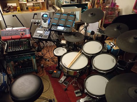 Ddrum 4 SE 2000 Digital Drum Module | Reverb