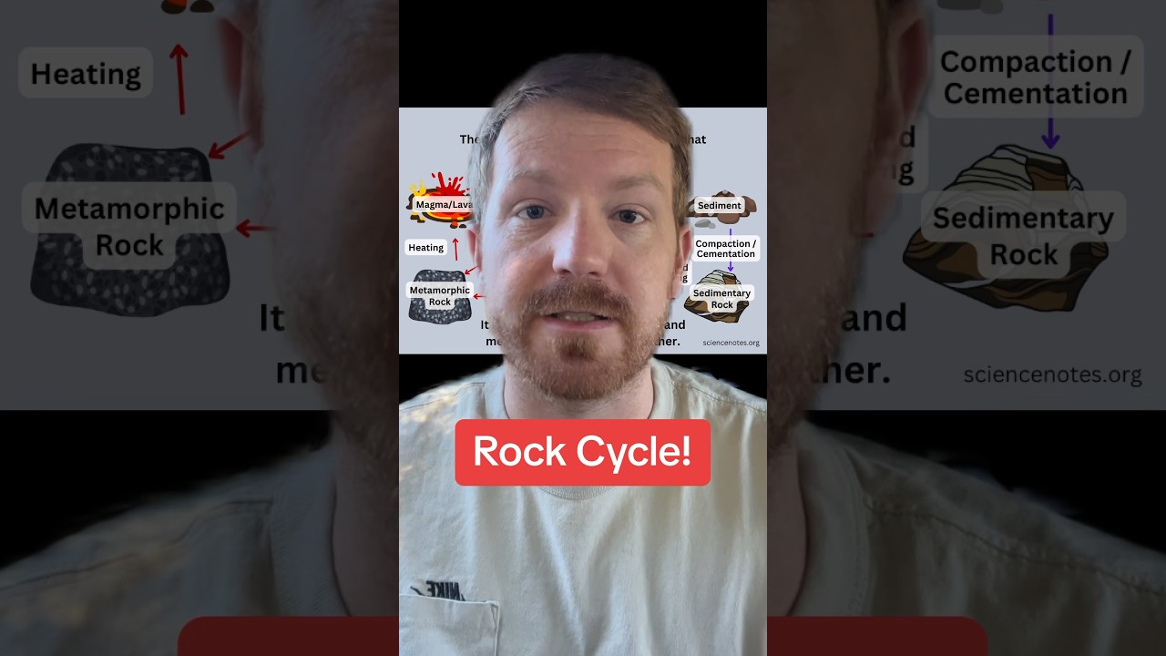 Geology 101: Rock Cycle #shorts