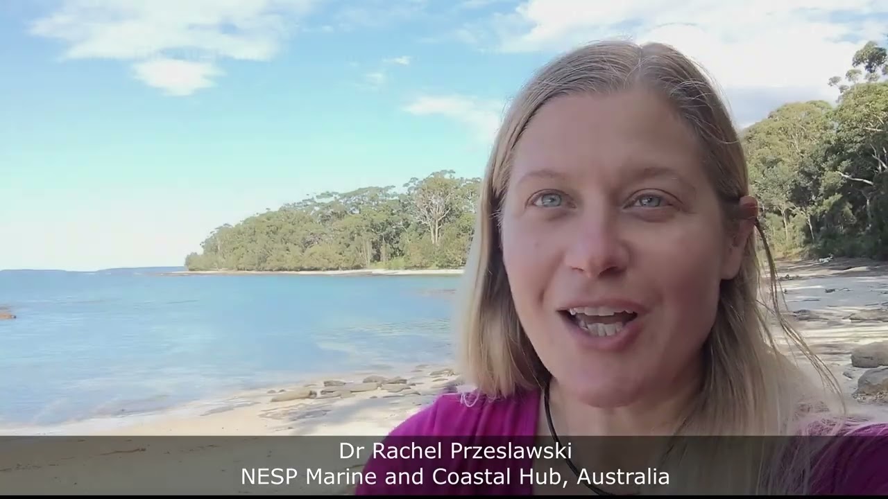 Ocean Decade Action—Ocean Practices for the Decade