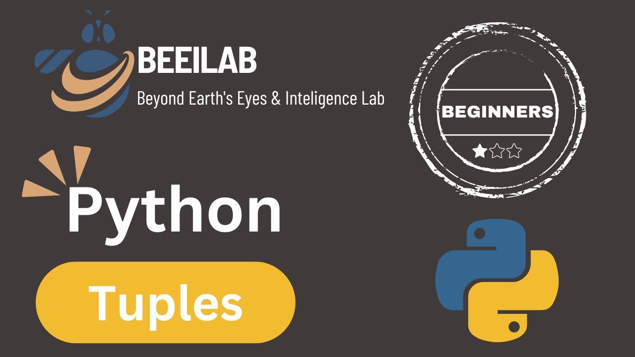 Python Tutorial for Beginners: Tuples in Python Learn Python Programming Python Tuples Basic Python