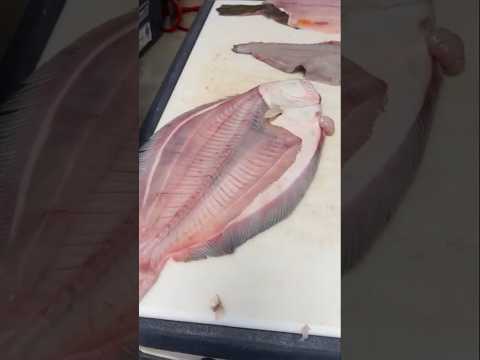 Fluke or Flounder? Name the differences in the comments!