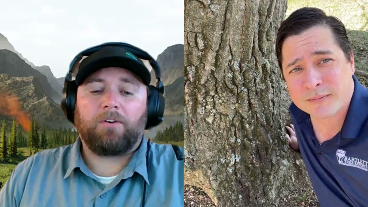 Let's Call the Lab: Ep. 4 - Cankers