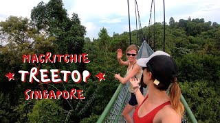 10 Things to Do at Ipoh Tree Top Walk, Ipoh, Malaysia | Gems.Travel