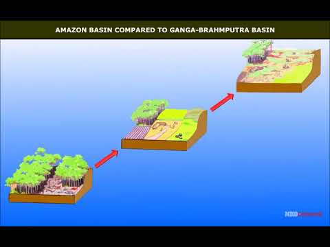 Human Environment Interactions | The Tropical and the Subtropical Region