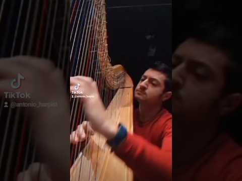 Haydn Fondazione Stiftung Diretta Radio Rai 3 Stasera Sabato Weekend Teatro Comunale Puccini Bolzano
