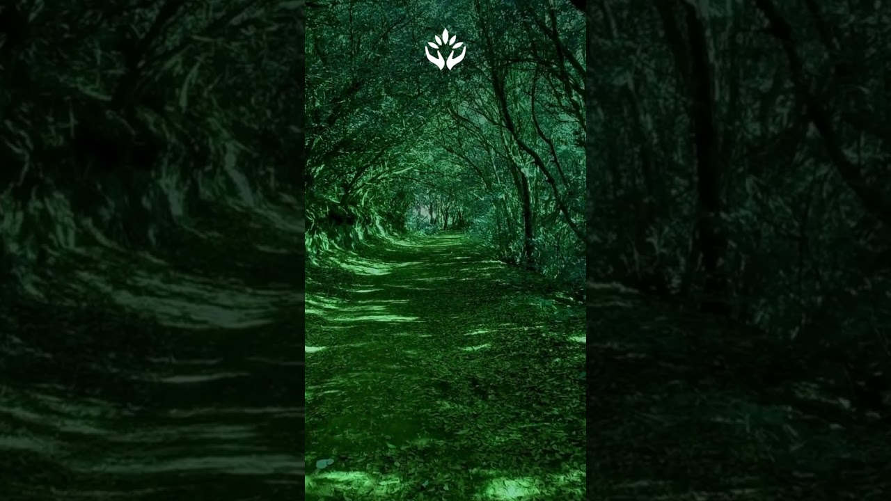 Nature Needs You Well: Mindfulness for Climate Changemakers