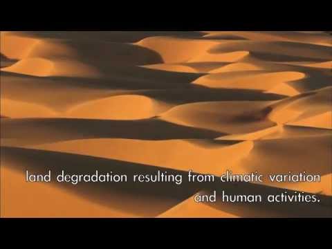 Desert - a brief summary for junior form geography students