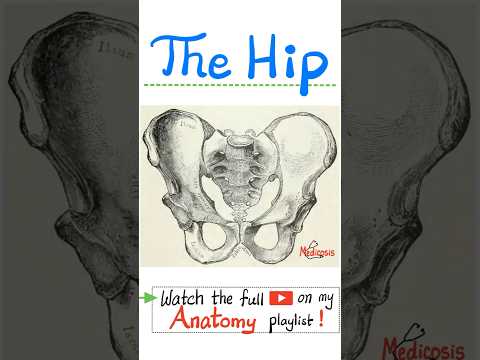The Hip Bone - Anatomy of the Pelvis...#doctor #nurse #anatomy #physiology #biology #surgery
