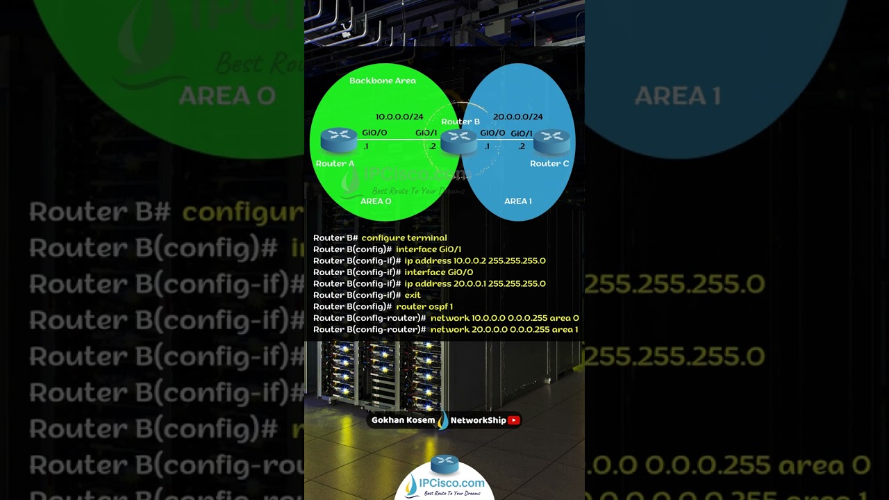 Cisco Basic OSPF Configuration | 1 Minute Quick Configs | IPCisco.com