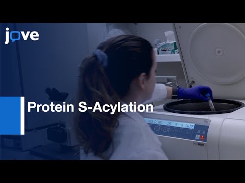 Protein S-Acylation Detection using Acyl-Resin Assisted Capture | Protocol Preview