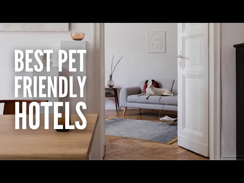 25 Best Pet Friendly Hotels in the US