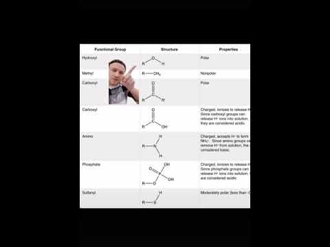 what is functional group#biology #biology #education #biology #biology