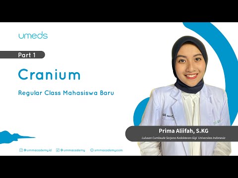 Dentacademy - Anatomi Umum - Cranium - Part 1