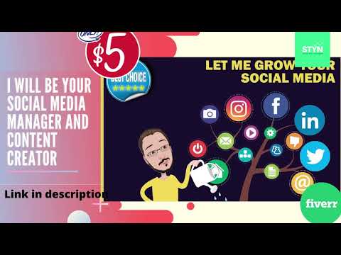 I will be your social media manager and content creator