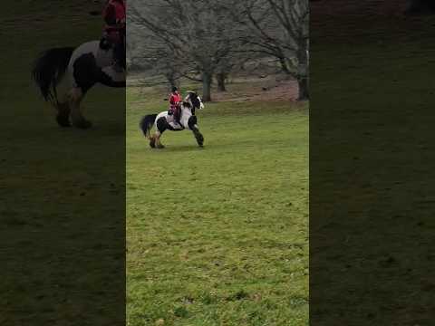 First time galloping 😱 full video coming soon! #galloping #equestrian