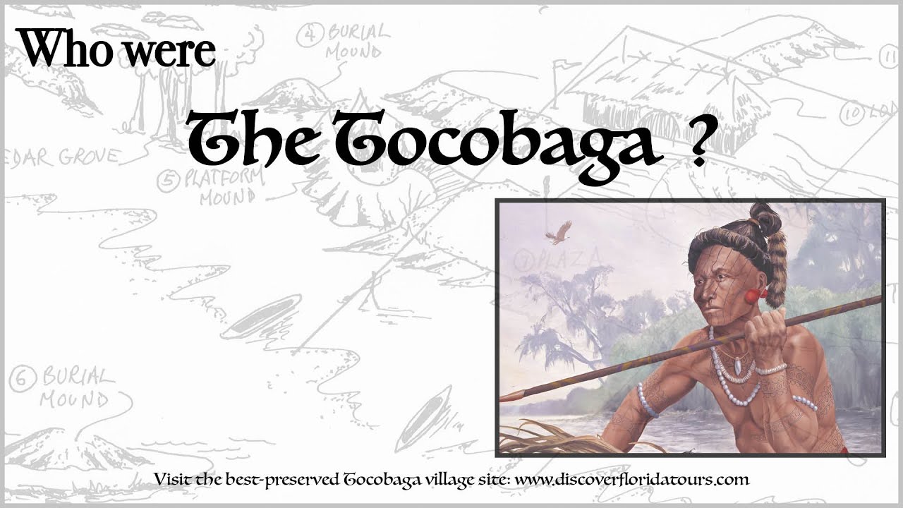 Who Were the Tocobaga?