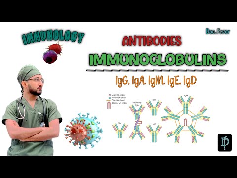 What is Immunoglobulin? Functions and Types Explained | Antibodies igG, igA , igM, igE, & IgD