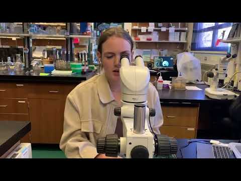 Phillips Laboratory