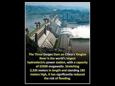 UNIQUE FACTS/THINGS IN THE WORLD #facts #trending #youtubeshorts #please subscribe #beautiful