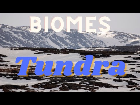 The Arctic Tundra biome