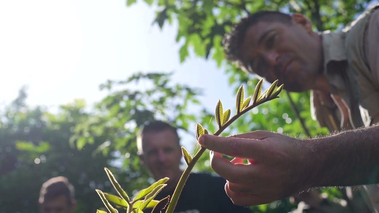 The Transformation Group ReforestNOW Partnership