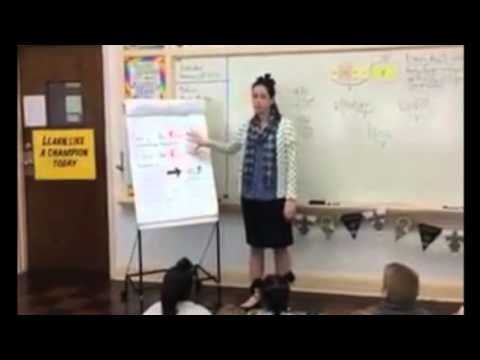 Cause and Effect with Anchor Charts - Mary Kate Veselik (Ch 2 Video 3)