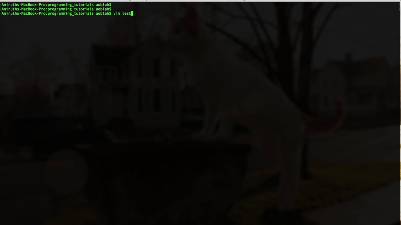 Enable mouse in Vim editor