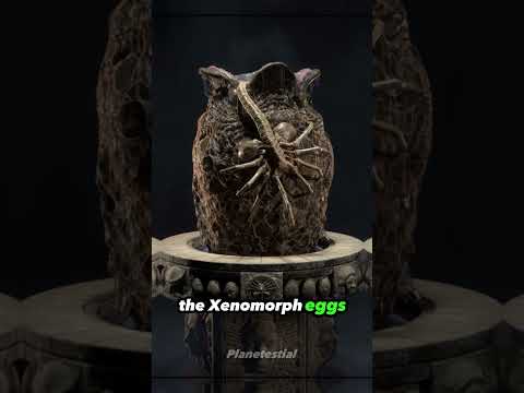The Terrifying Xenomorph Queen: The Apex of Alien Horror #xenomorph #queen #alien