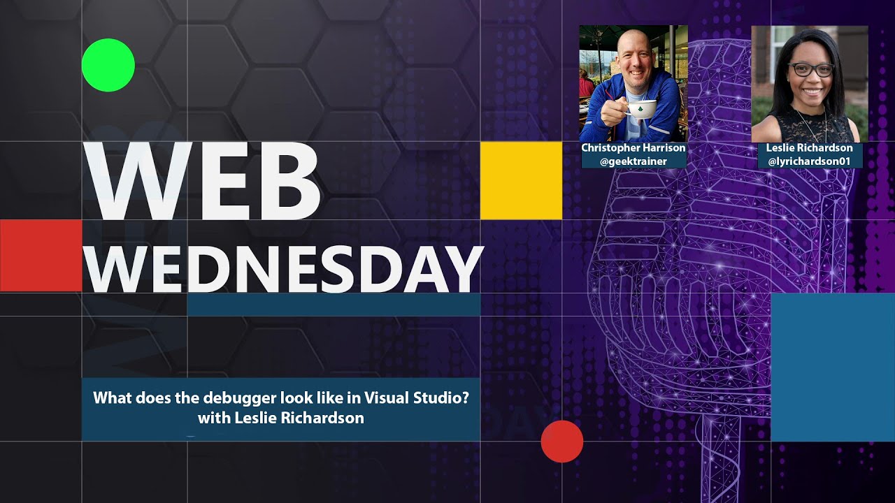 What does the debugger look like in Visual Studio?