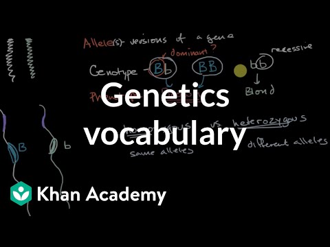 Genetics vocabulary (video) | Khan Academy