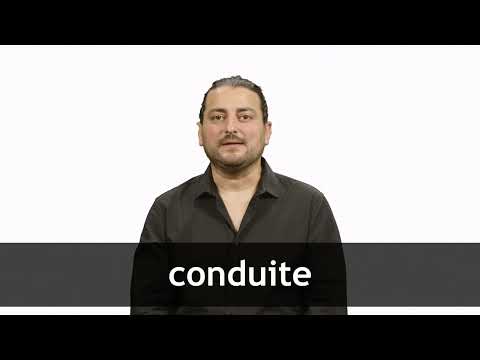 English Translation of “CONDUITE” | Collins French-English Dictionary