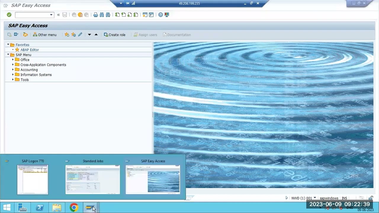 Understanding SAP BASIS: Background Jobs, Message Server, and Logon ...