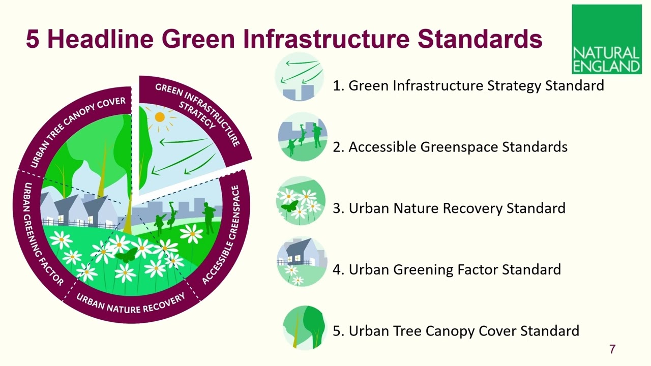 Deep Dive Webinar: Urban Tree Canopy Cover Standard