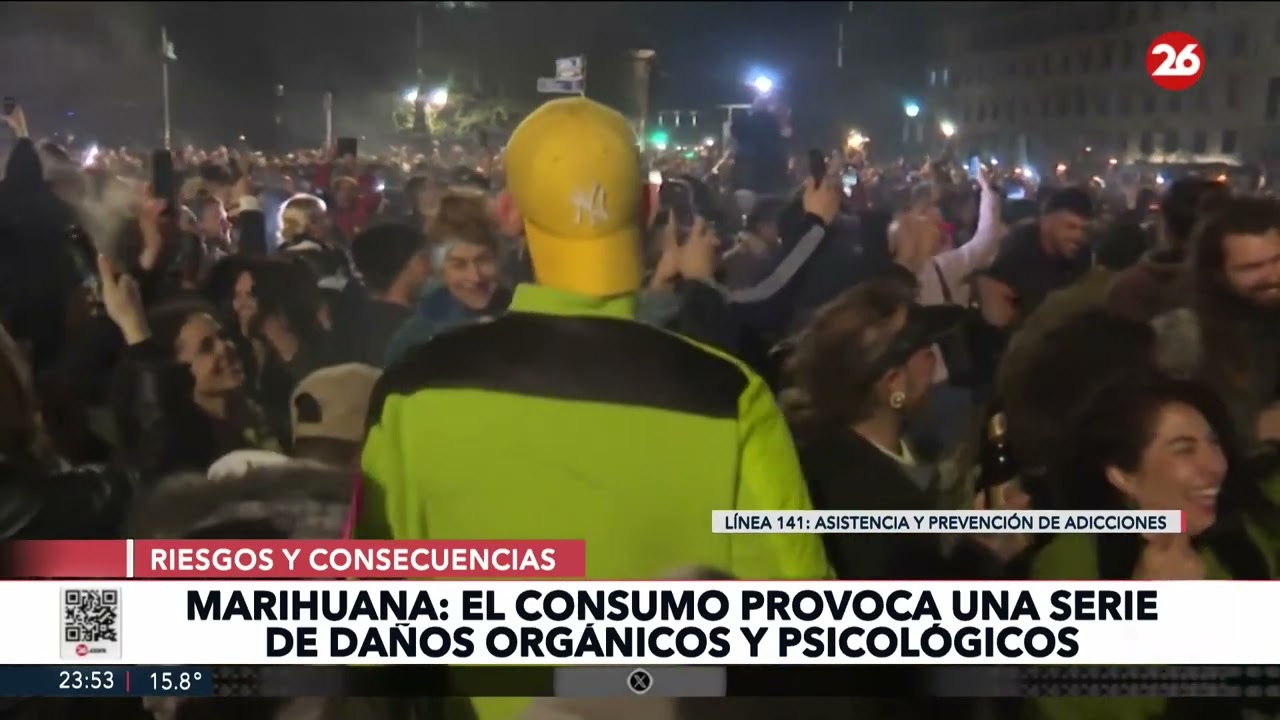 ¿QUÉ ES LA MARIHUANA? Efectos, riesgos y consecuencias | #InformeEspecial