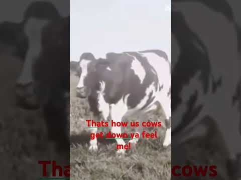 how cows get down #minecraft #minecraftgameplay #shorts #games #funny #cow