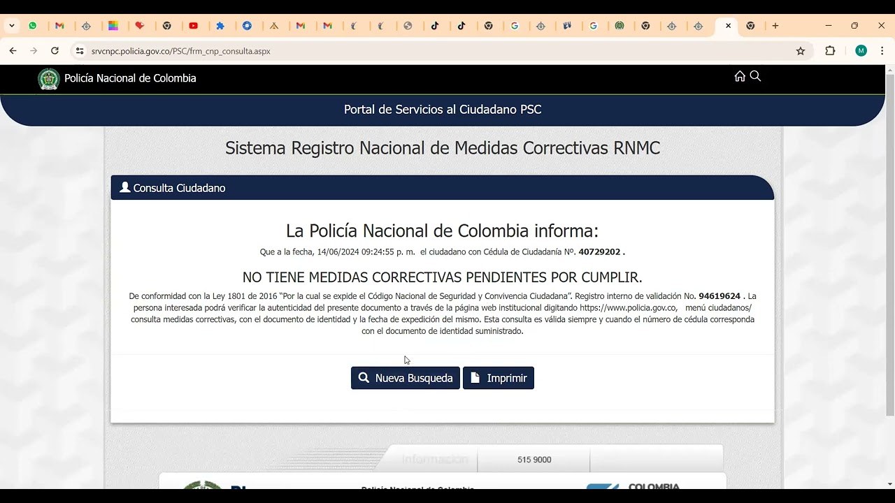 Como descargar los antecedentes , Sistema Registro Nacional de Medidas Correctivas RNMC. 2024
