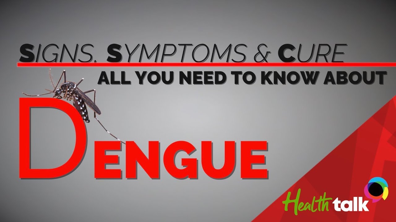 Signs, Symptoms and Cure: All you need to know about dengue