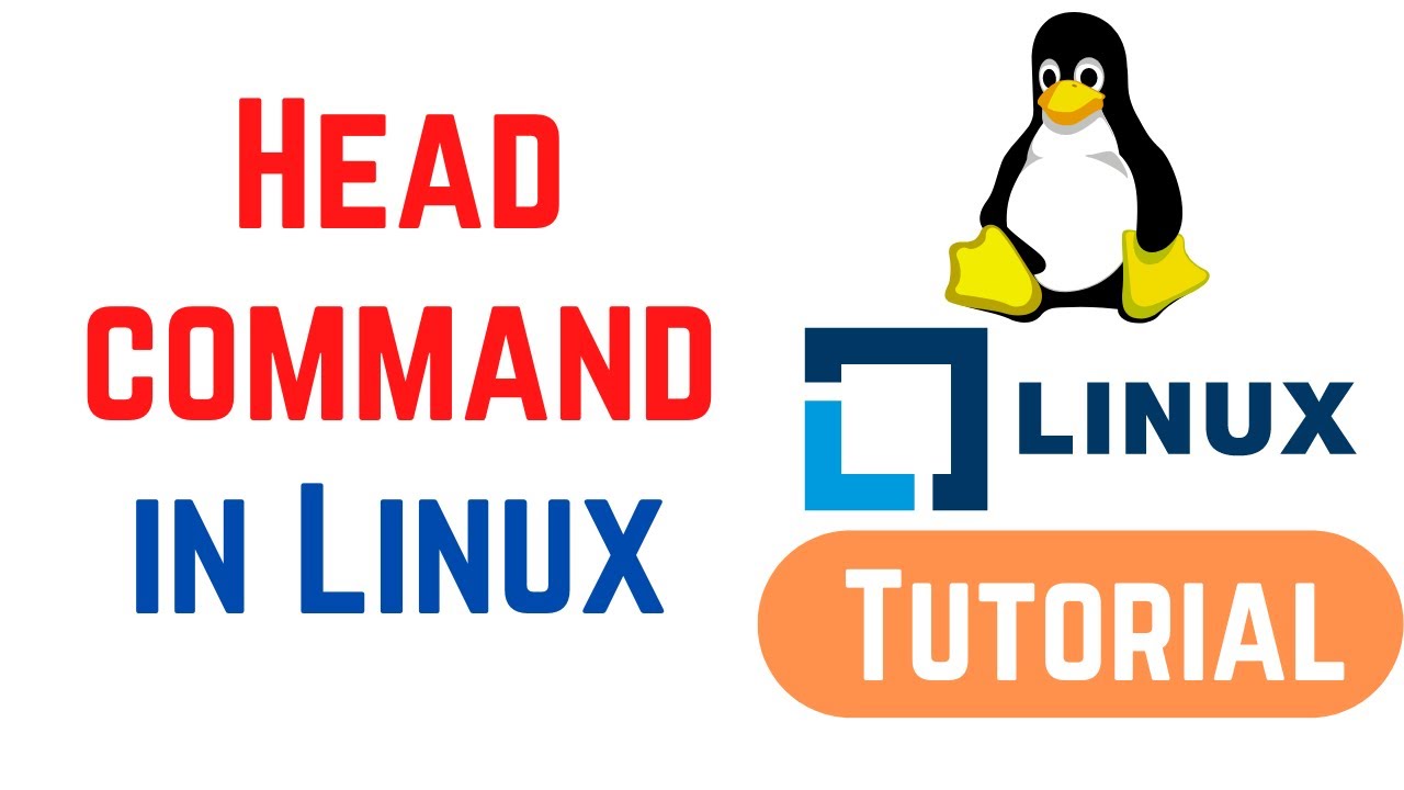 Linux Command Line Basics Tutorials - Head command in Linux with examples