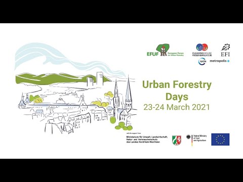 Day 1 Keynote session 1 | The urban area and sustainability transition