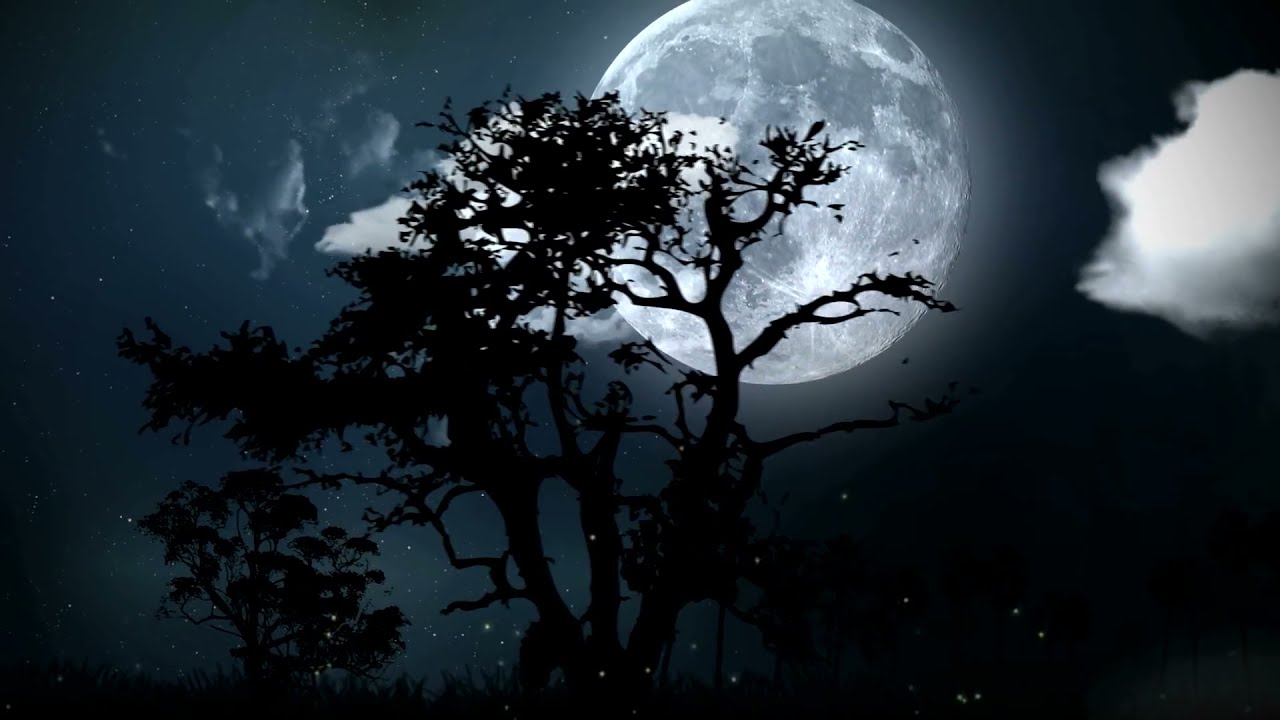 Night Sky Animation | Moonlight