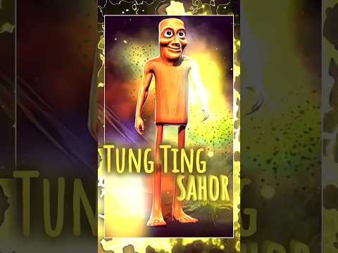 Ting Ting sahor🗿