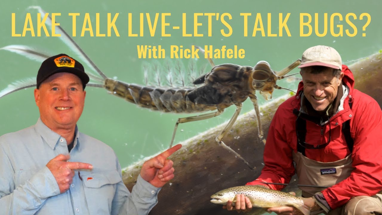 Lake Talk Live-Let's Talk Bugs!