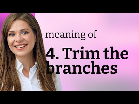 Trim the Branches: A Guide to Growth and Pruning in Language