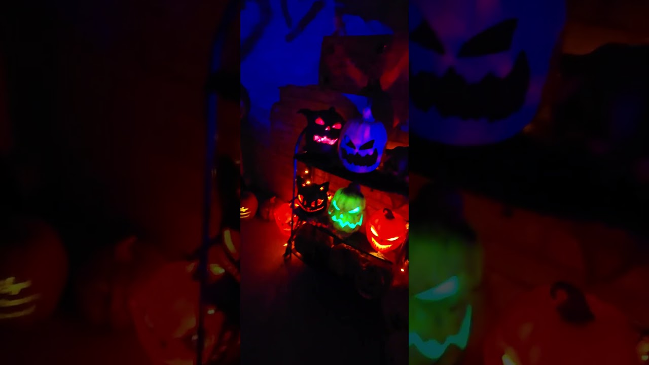 Our Abandoned Cemetery / Pumpkin Tree 6825 156Th St Oak Forest Il USA