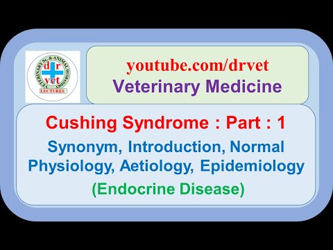 Cushing Syndrome Part 1: synonym, introduction, etiology, epidemiology