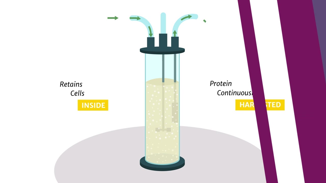 Perfusion Explained