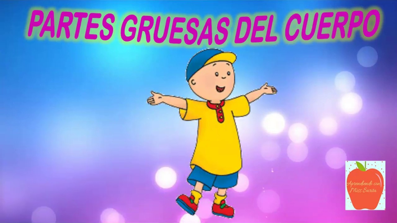 LAS PARTES GRUESAS DE MI CUERPO