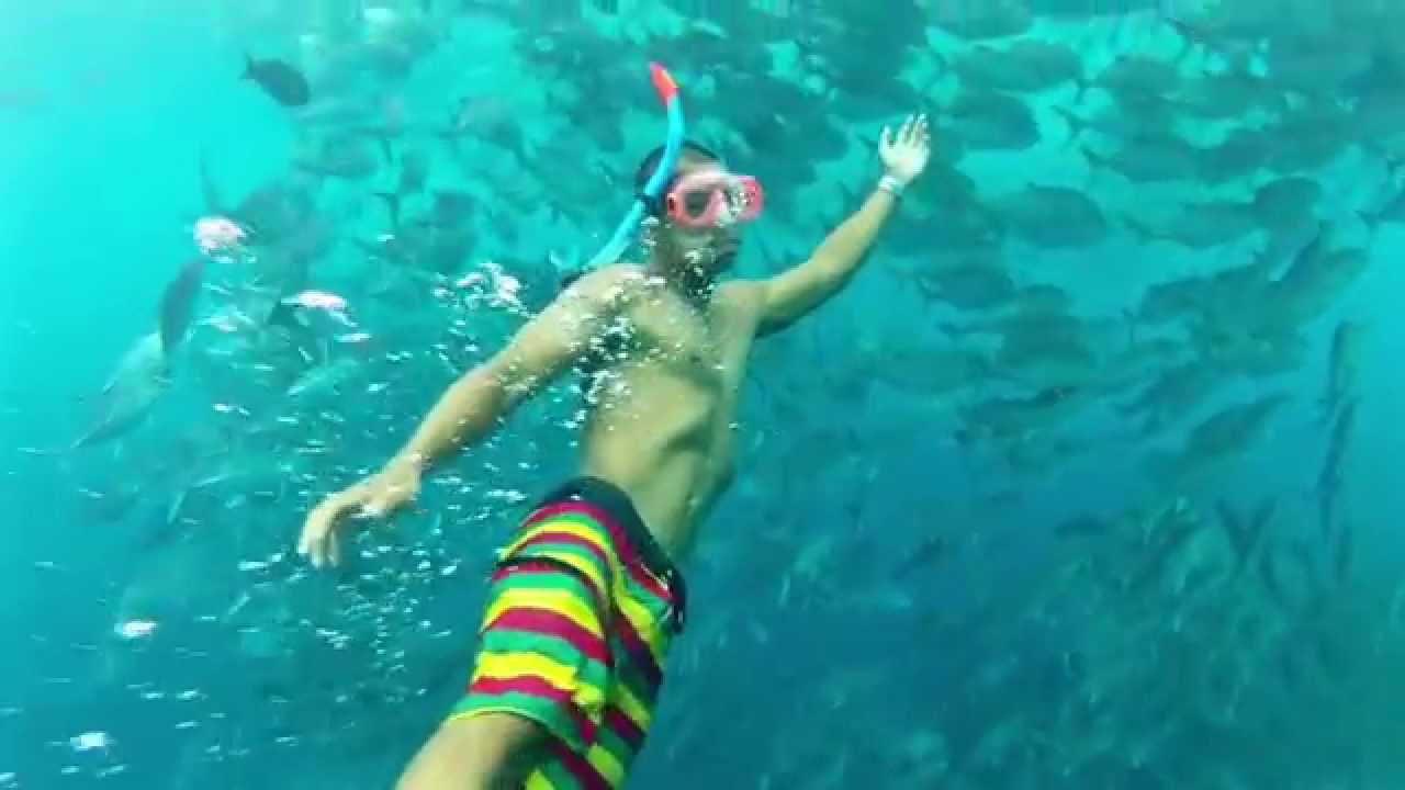 Punta Mita Expeditions Promo
