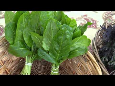 Santa Cruz Community Farmers Markets Food of the Week: Italian Chard